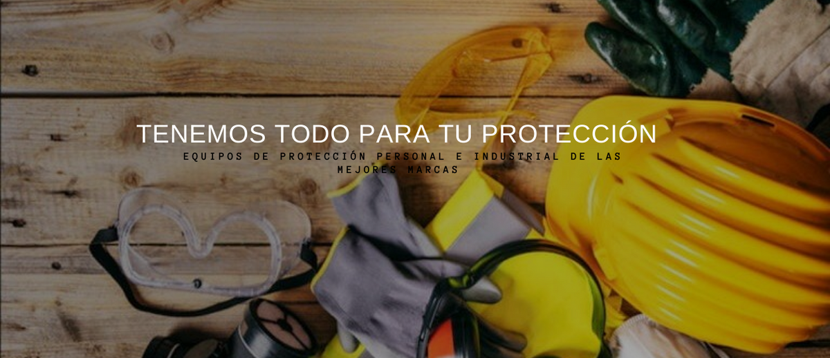 PÁGINA DE INICIO – DEPROL SERVICES